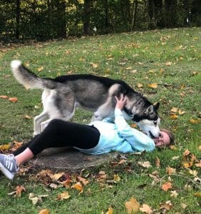 11 Husky Training Tips You Should Know | Your Dog Advisor