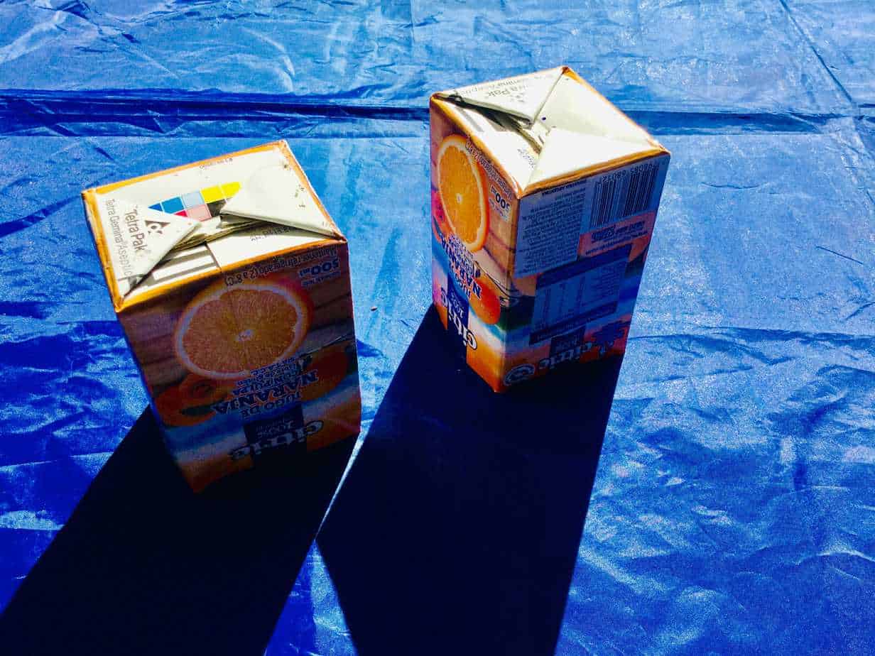 DIY Brain Games for your Dog | Your Dog Advisor