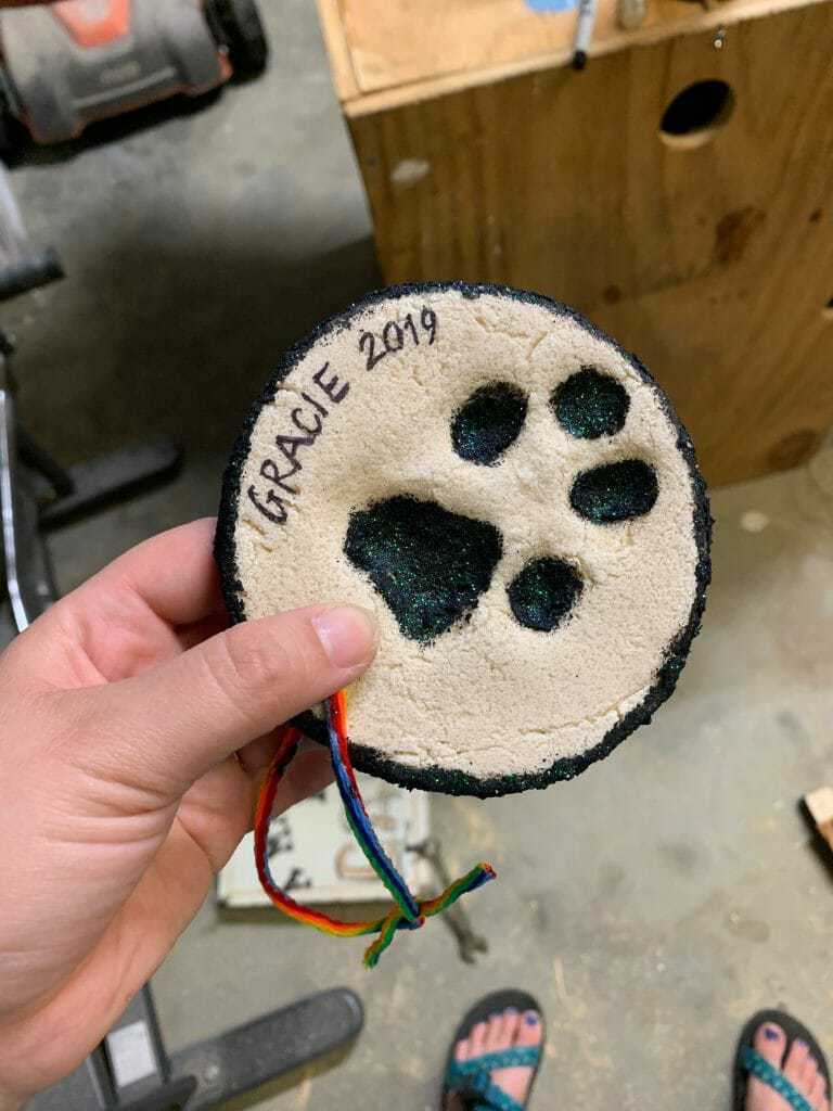 DIY Dog Momentos: Best Ways to Remember Your Pets - Your Dog Advisor
