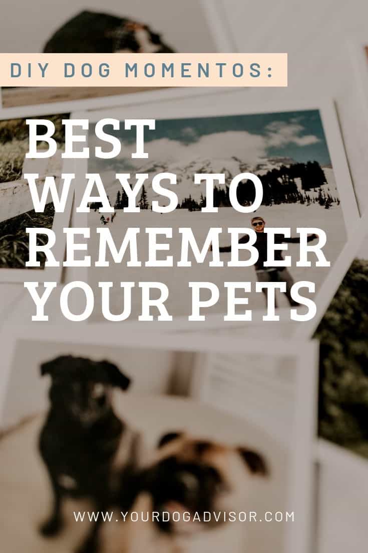 DIY Dog Momentos: Best Ways to Remember Your Pets - Your Dog Advisor