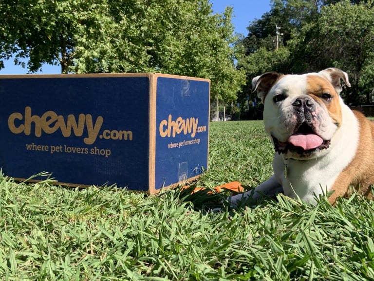An Honest Review of Chewy.com | Your Dog Advisor