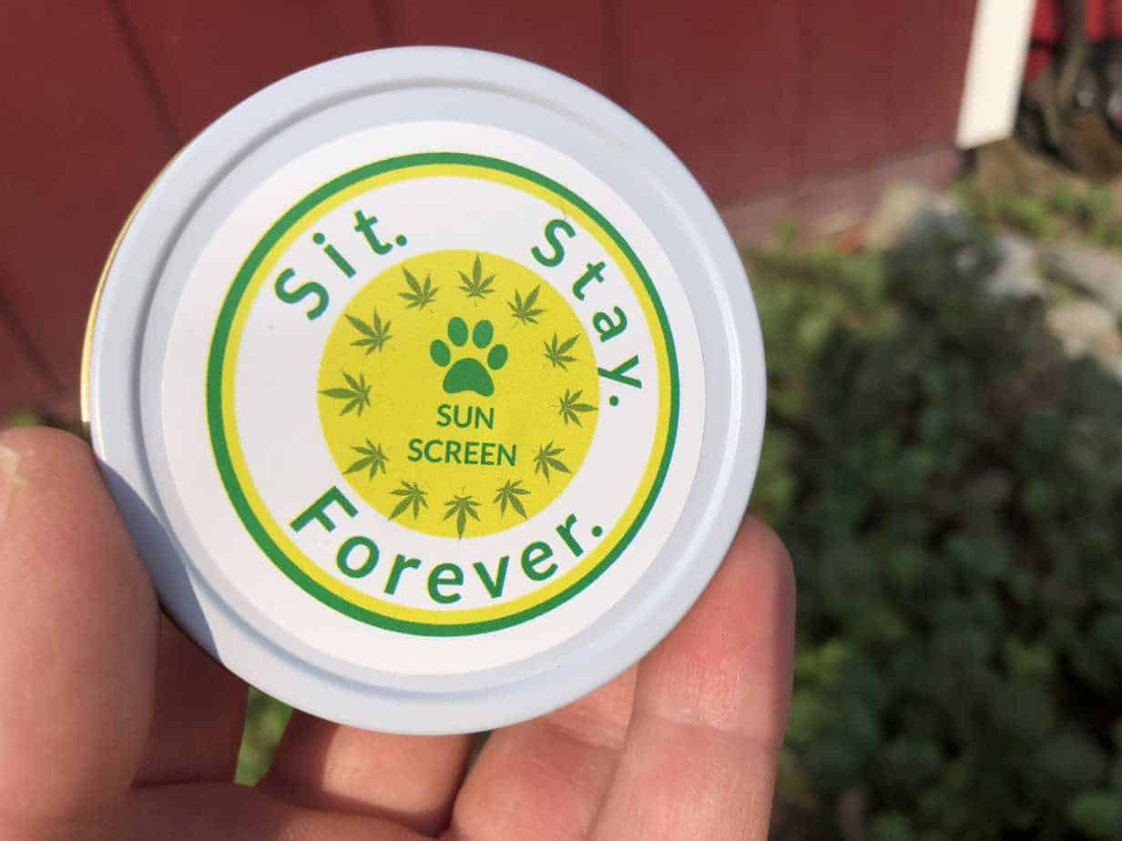 Best Sunscreen for Dogs - Your Dog Advisor