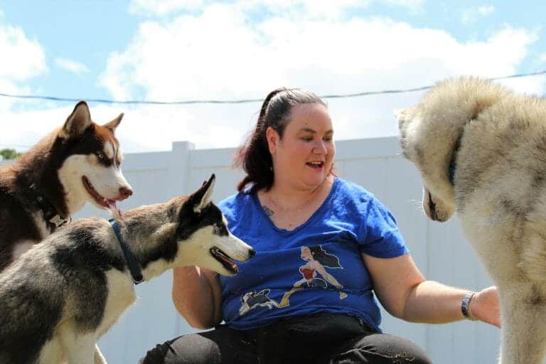 How to Manage a Multi-Dog Household | Your Dog Advisor