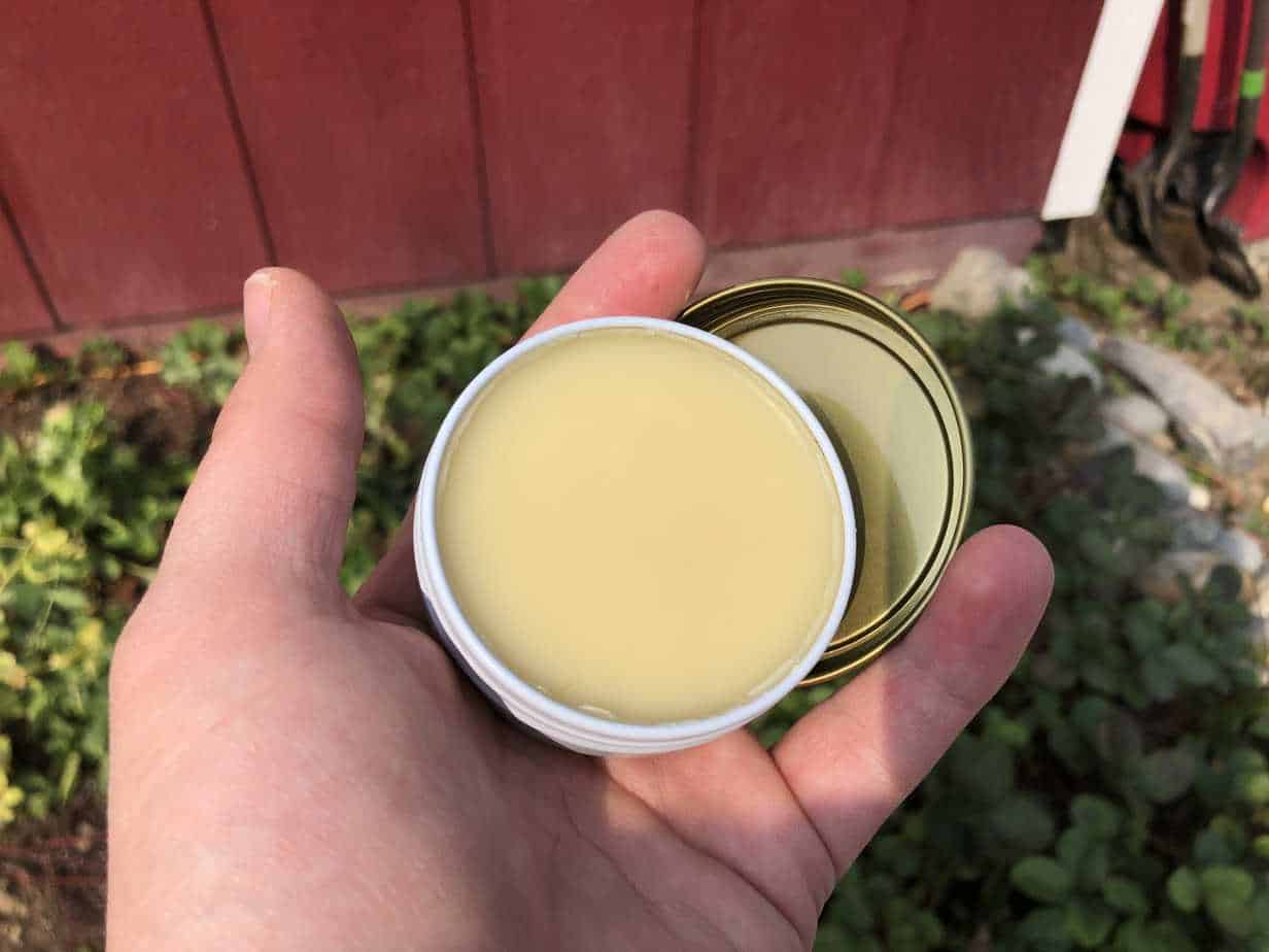 Best Sunscreen for Dogs | Your Dog Advisor