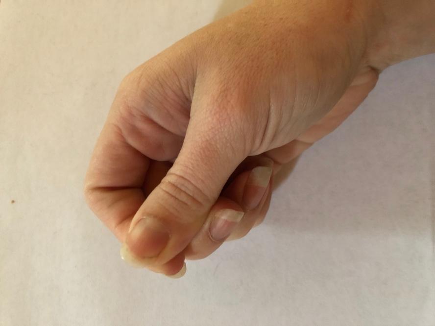 How to Train Your Dog or Puppy to Lie Down the Right Way | Your Dog Advisor