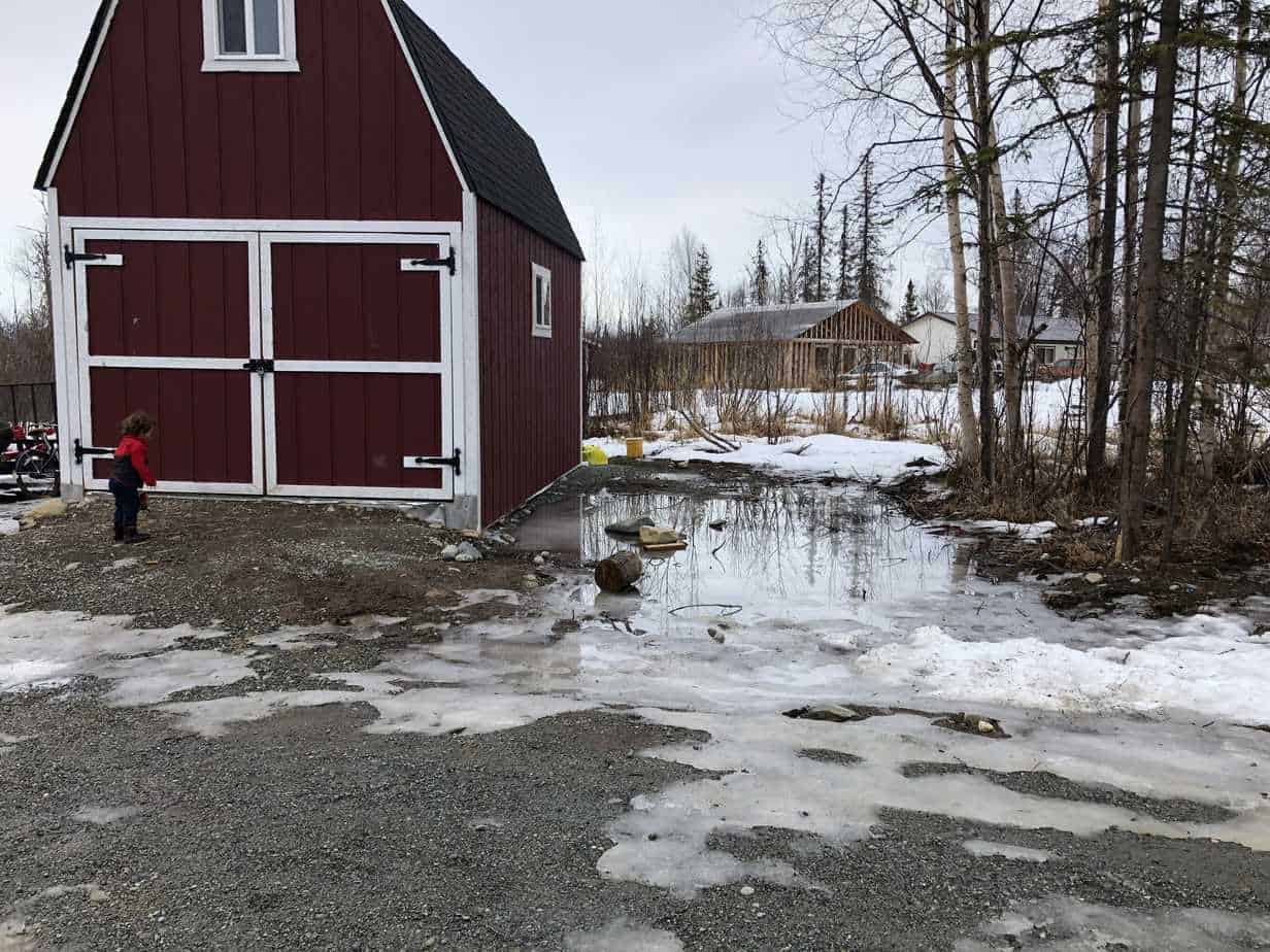 Dexas Mudbuster Portable Dog Paw Cleaner Review - Your Dog Advisor