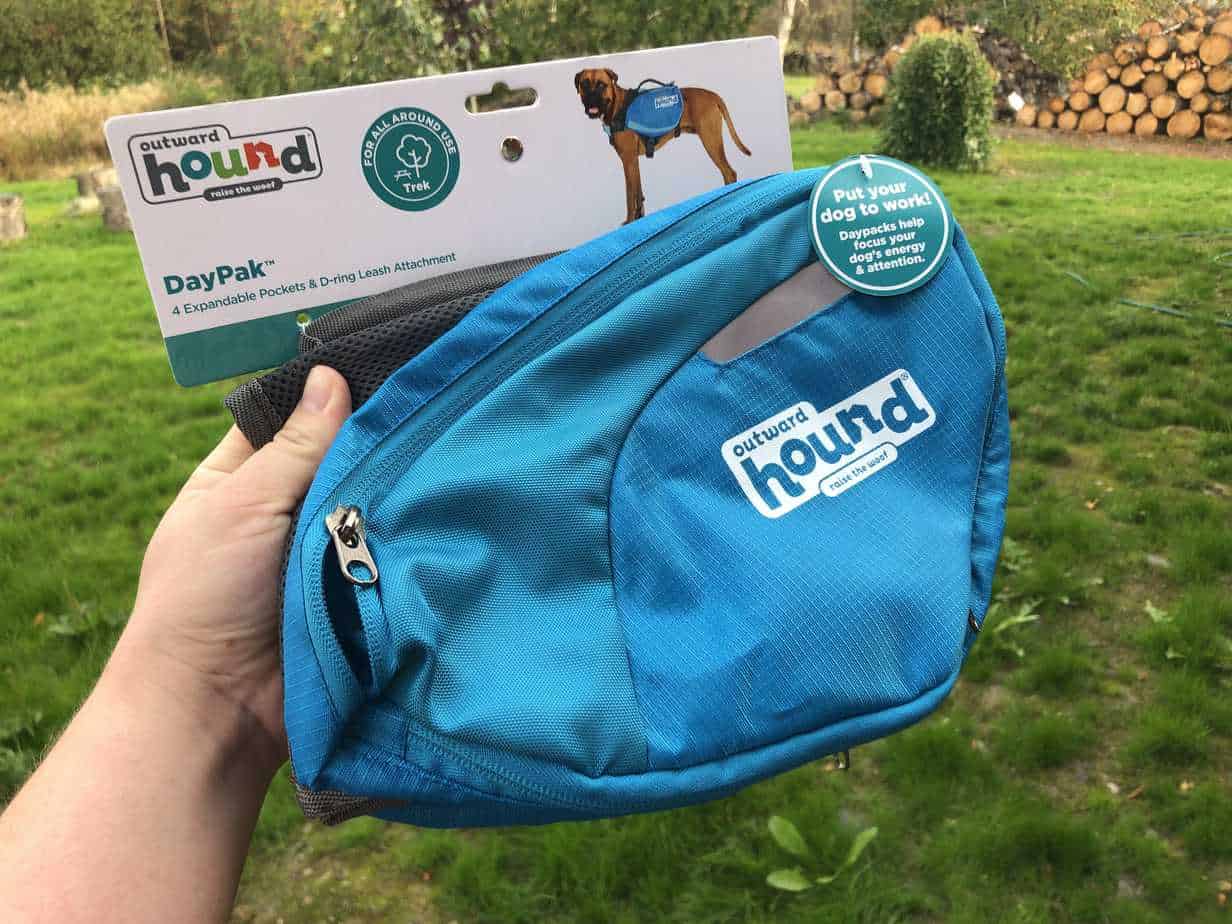 The Best Dog Saddle Bag | Your Dog Advisor