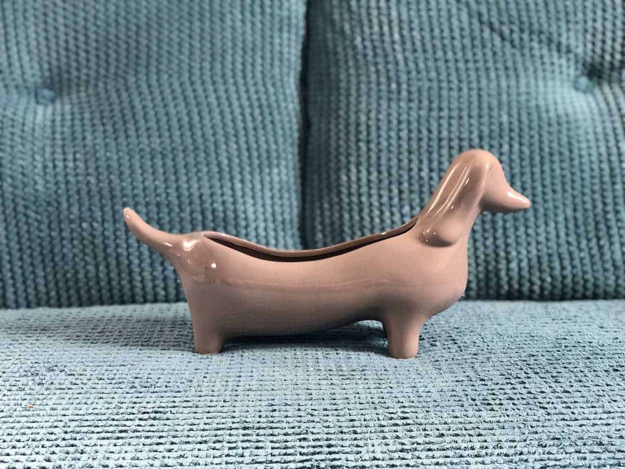 14 Best Gifts for Dachshund Lovers | Your Dog Advisor