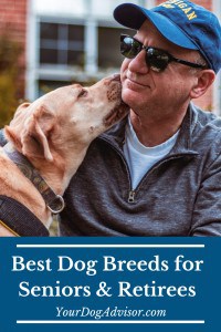The Best Dogs for Seniors and Retirees | Your Dog Advisor