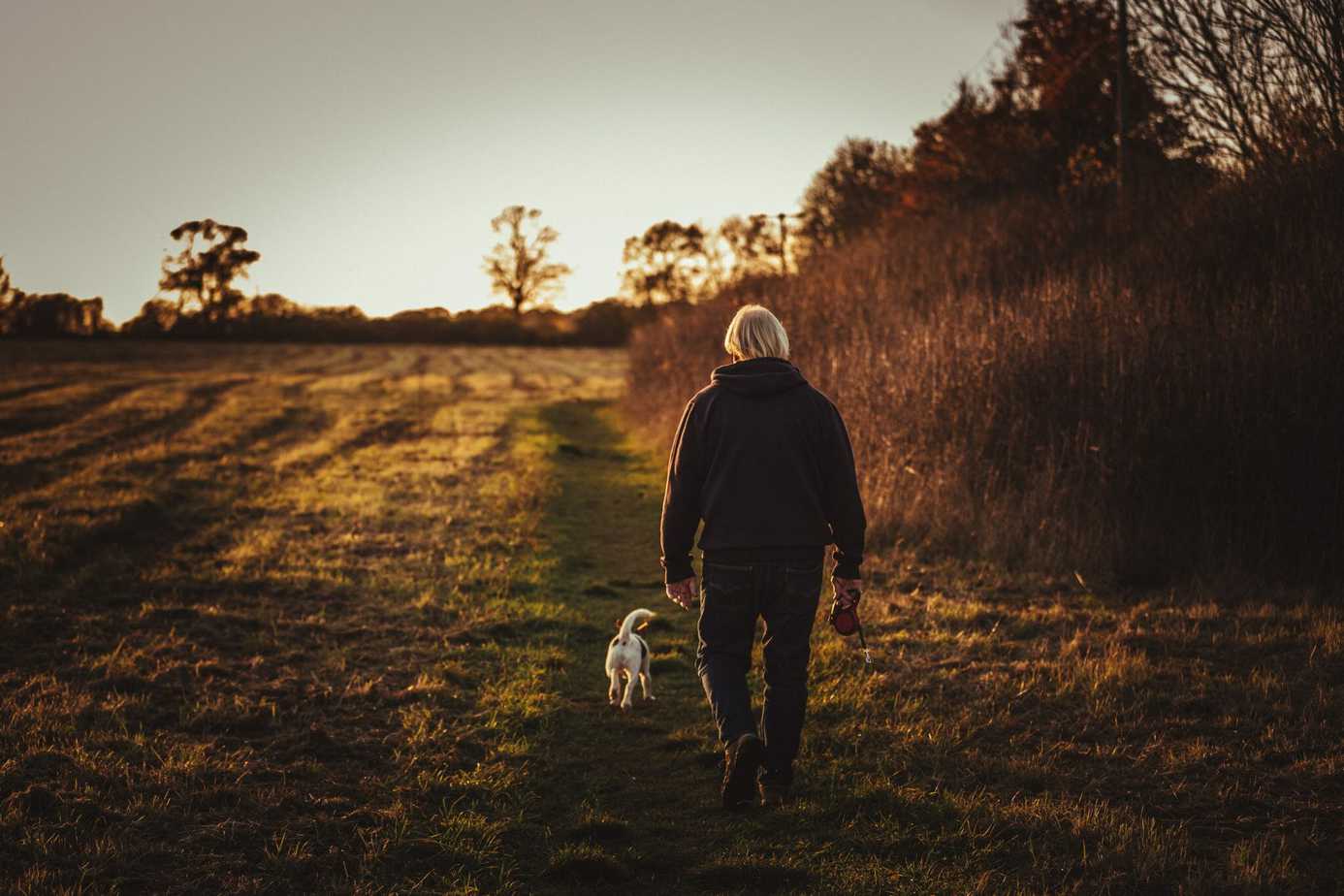 The Best Dogs for Seniors and Retirees | Your Dog Advisor