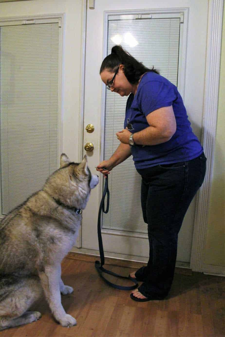 How to Train A Stubborn Dog | Your Dog Advisor