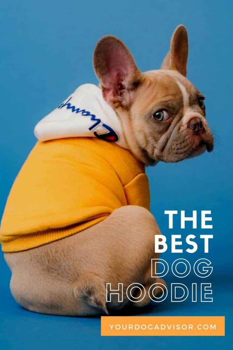 The Best Dog Hoodie For Cold Weather | Your Dog Advisor