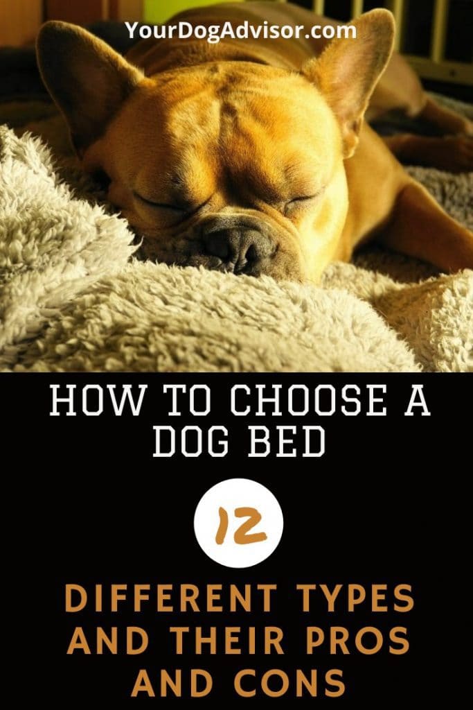 How to Choose the Best Dog Bed: 12 Different Types of Dog Beds | Your ...