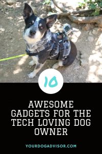 10 Awesome Gadgets for the Tech Loving Dog Owner | Your Dog Advisor