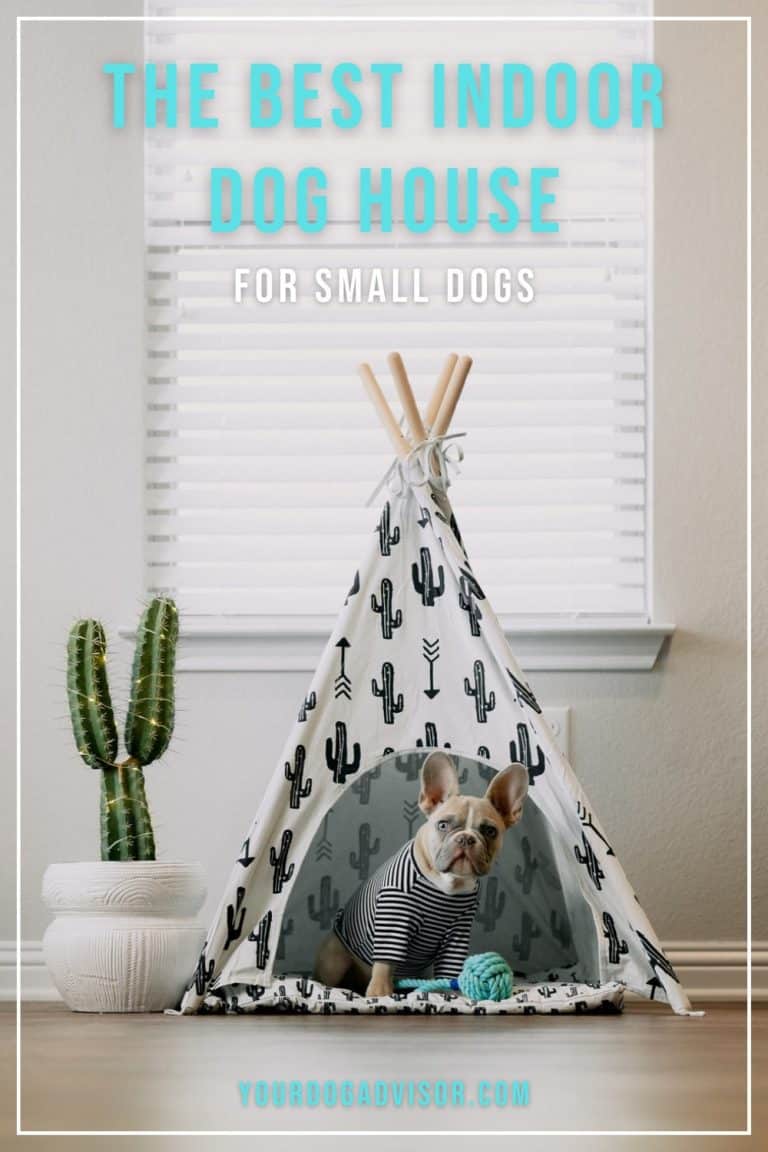 The Best Indoor Dog House For Small Dogs | Your Dog Advisor