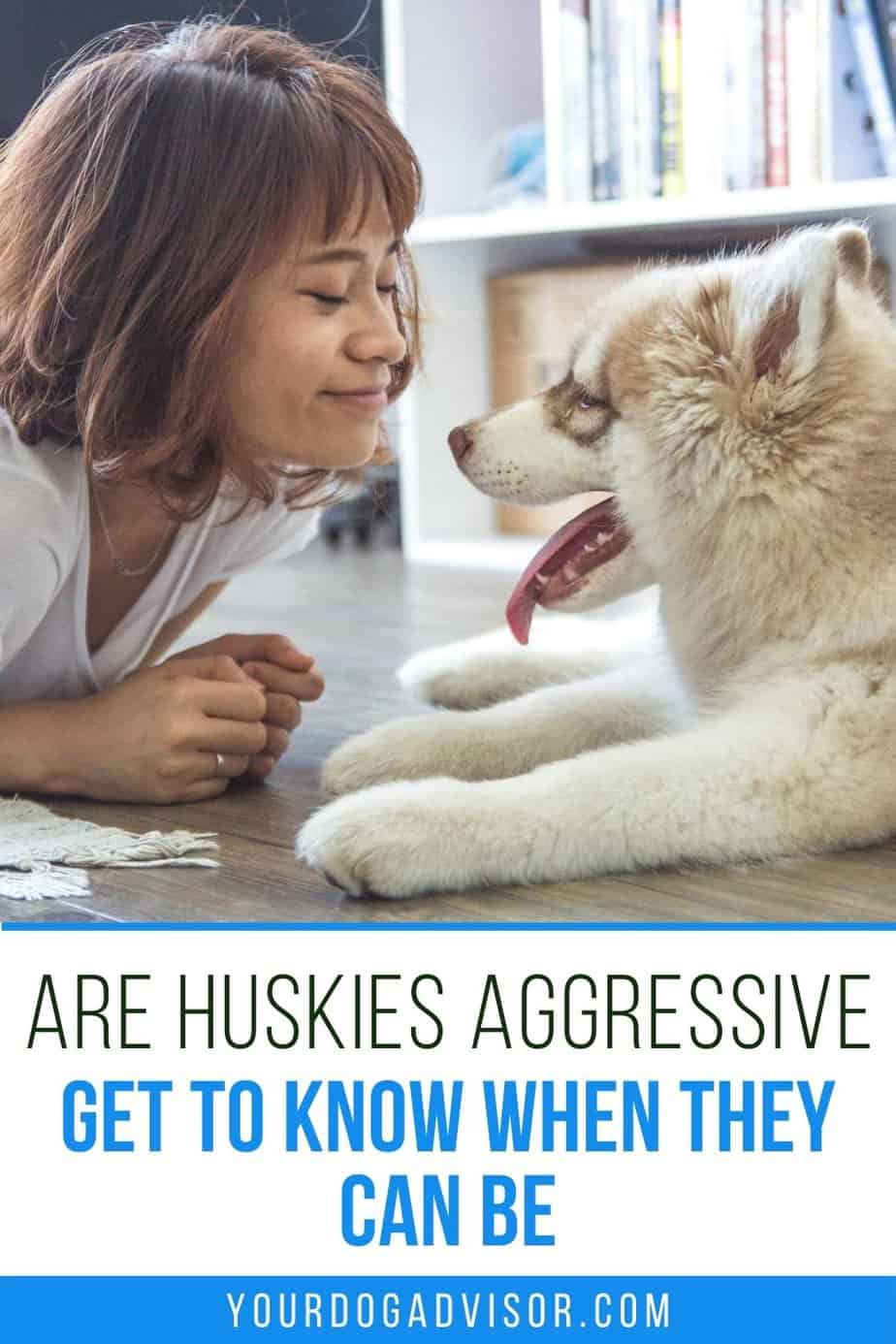 Are Huskies Aggressive? Get to Know When They Can Be | Your Dog Advisor